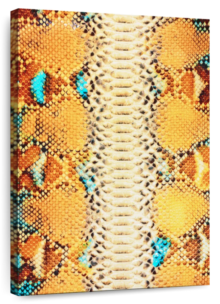 Ebern Designs Brampt Python Snake Skin | Wayfair