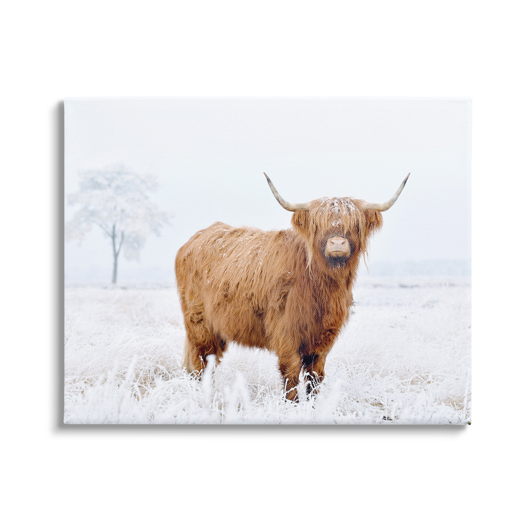 Union Rustic Highland Cow In Snow On Canvas by Krista Broadway Print ...