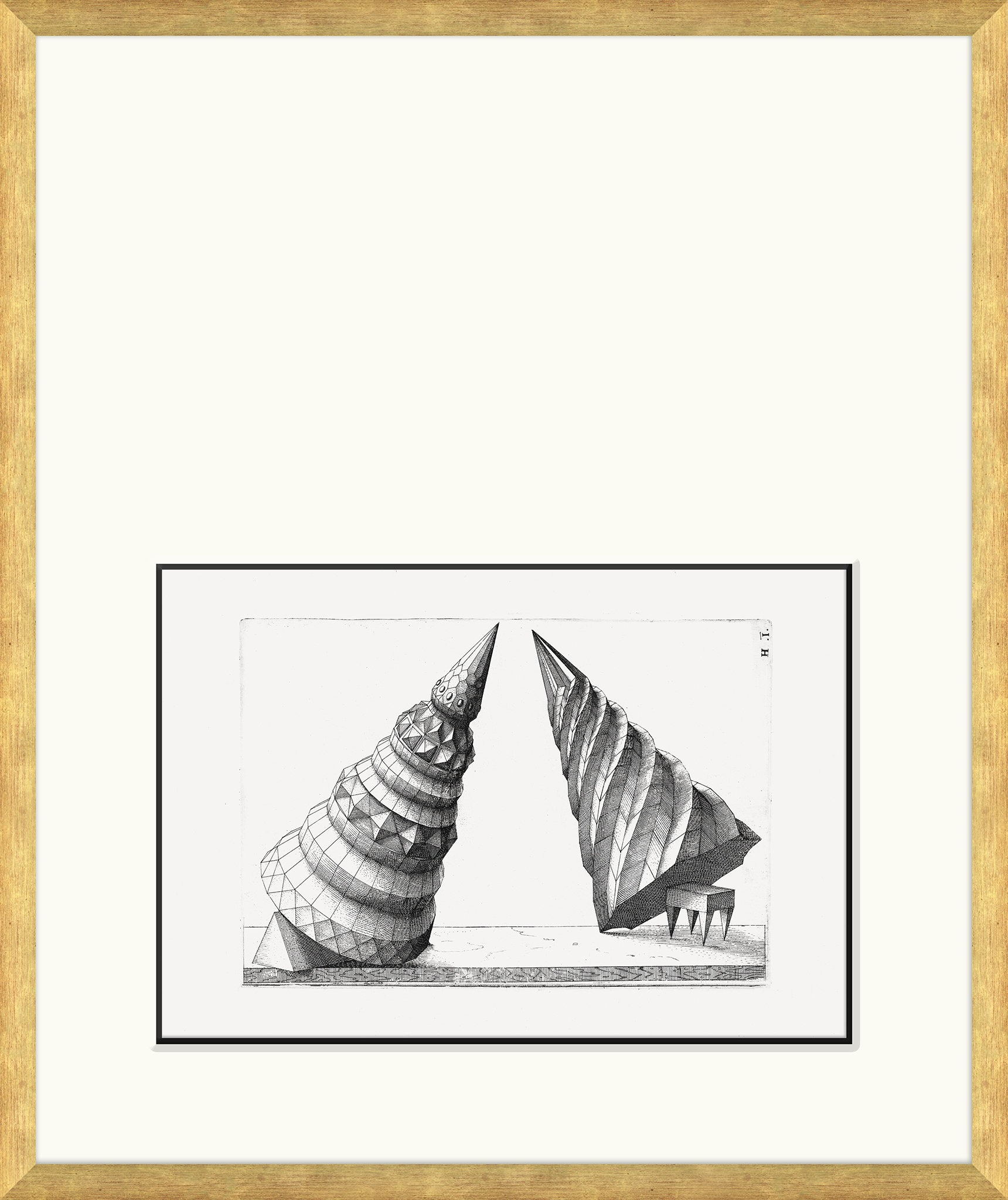 Soicher Marin Mathmatical Shapes - Framed on Paper Print (B) | Perigold