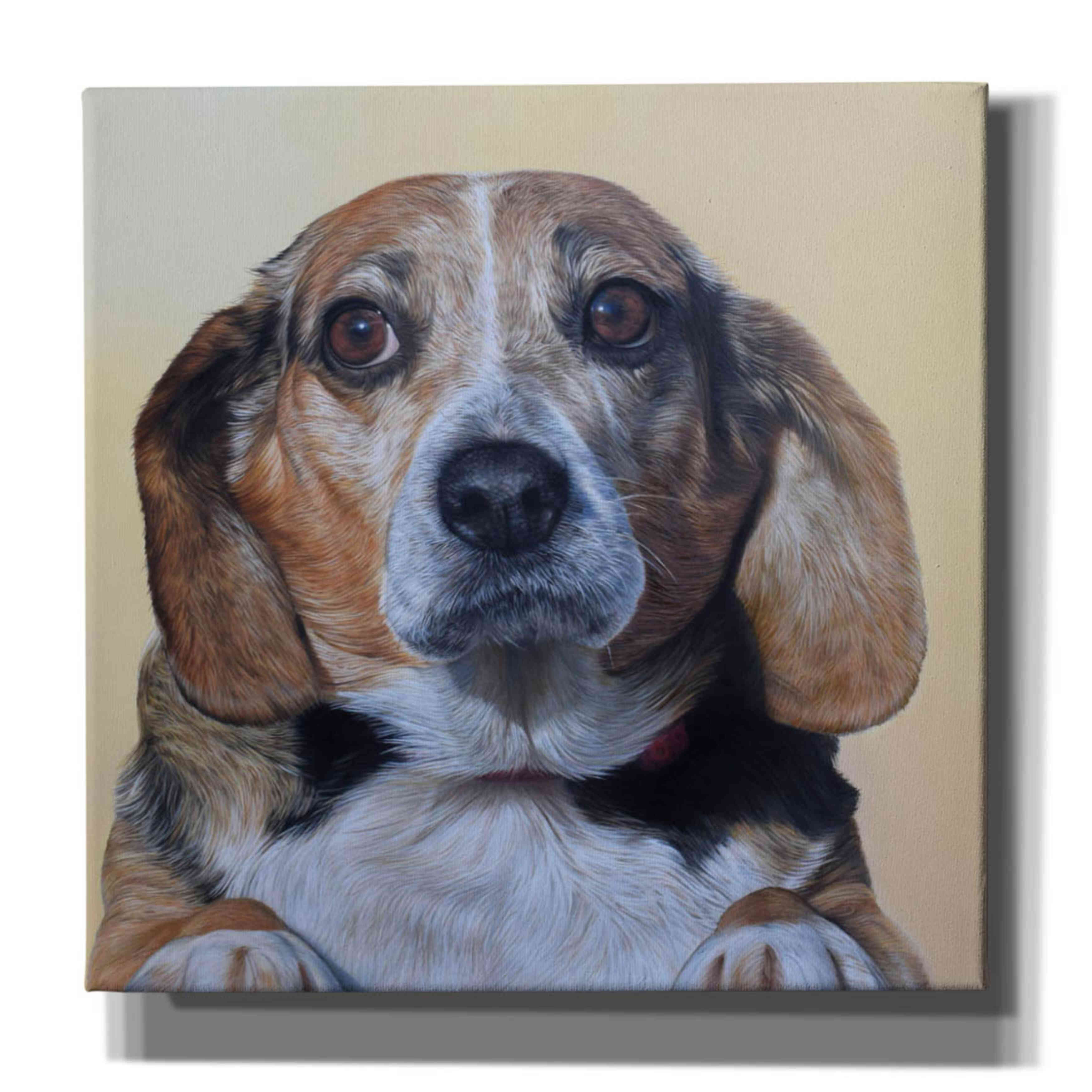 Red Barrel Studio® Wiggles by Sam Dolman - Wrapped Canvas Photograph ...