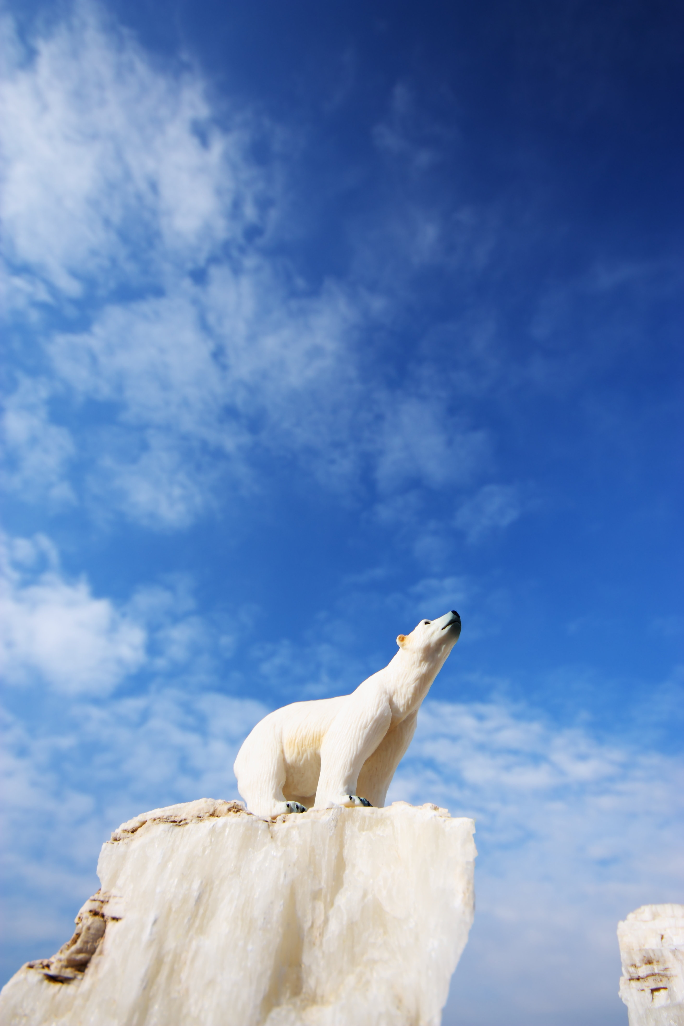 Ebern Designs Global Warming by Aydinmutlu | Wayfair