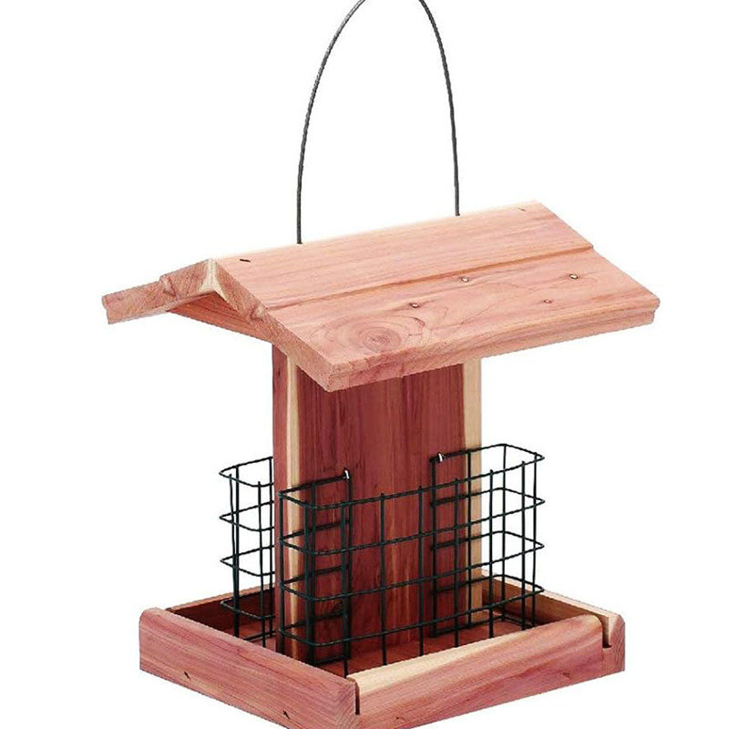 Arlmont & Co. Patio Suet Bird Feeder with Double Suet Cages, Cake ...