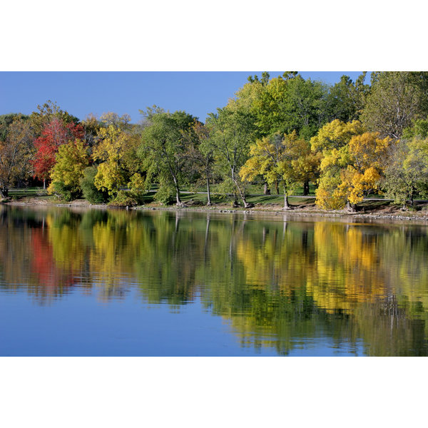 17 Stories River Bank Trees by Stevegeer - Wrapped Canvas Art Prints ...