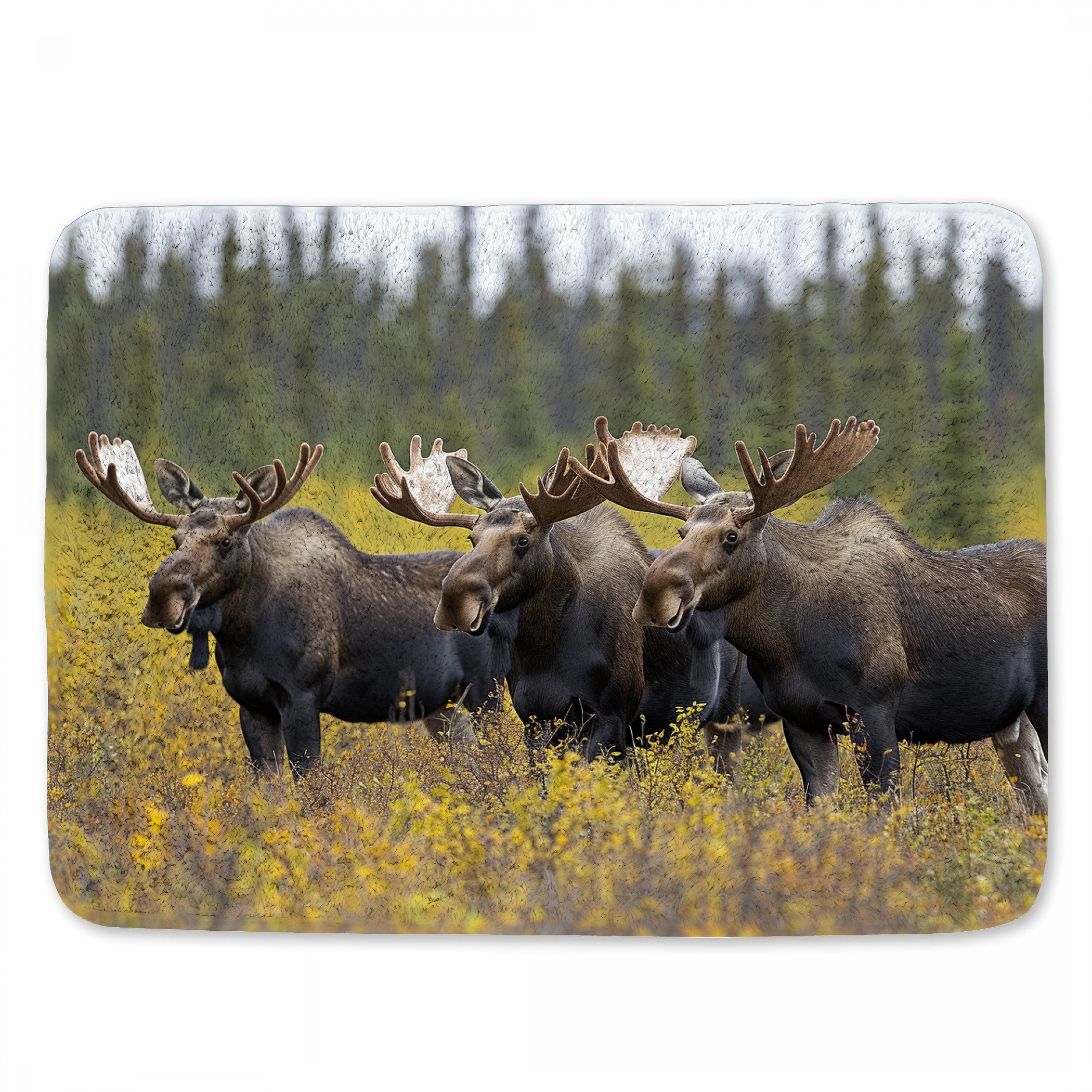 East Urban Home Moose Bath Mat Wildlife Bathroom Decor Rustic | Wayfair
