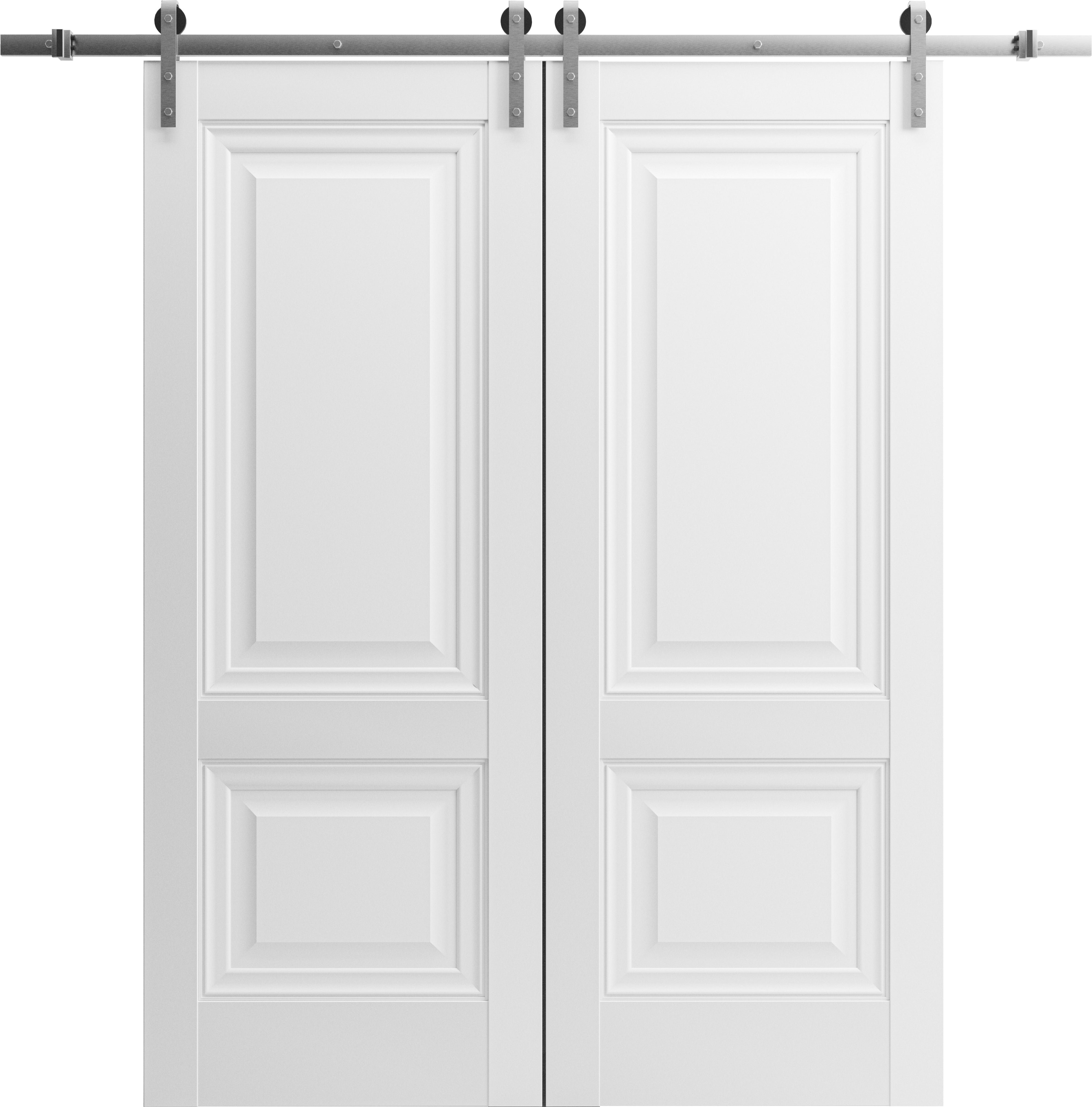 SARTODOORS Lucia Sturdy Double Barn White Doors - Wayfair Canada