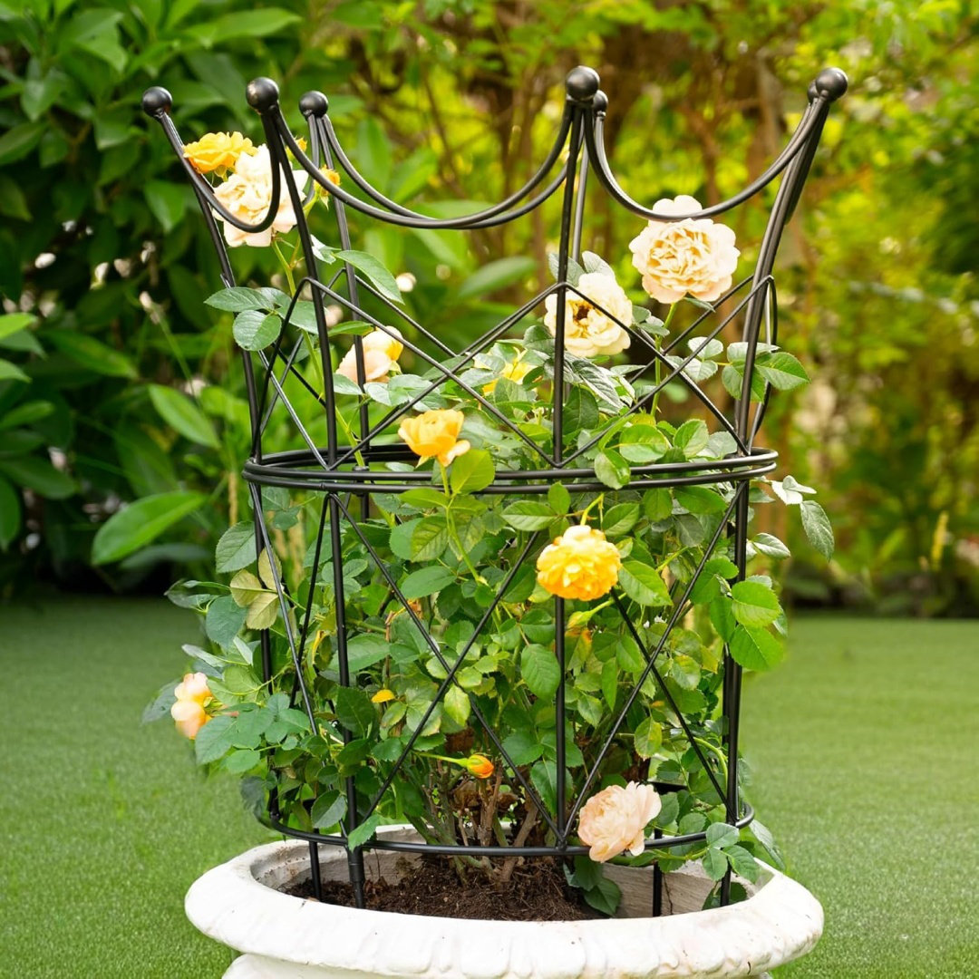 Lark Manor Plant Supports Outdoor Obelisk Peony Cage 18.5In*22.9In ...