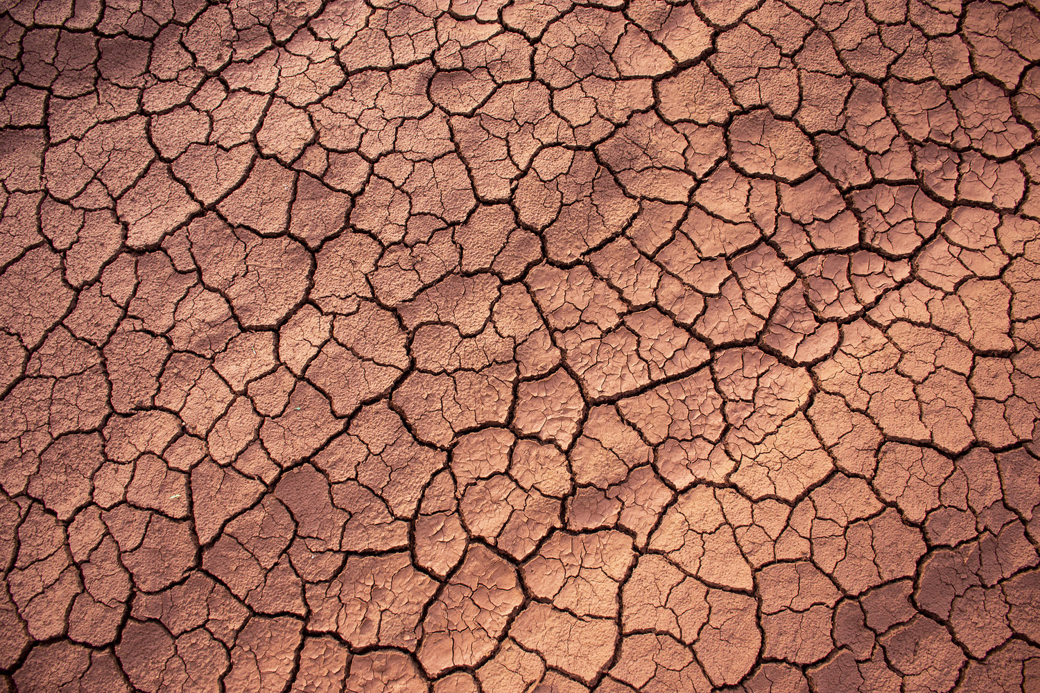 Hokku Designs Dry and Cracked Soil - Wrapped Canvas Photograph | Wayfair