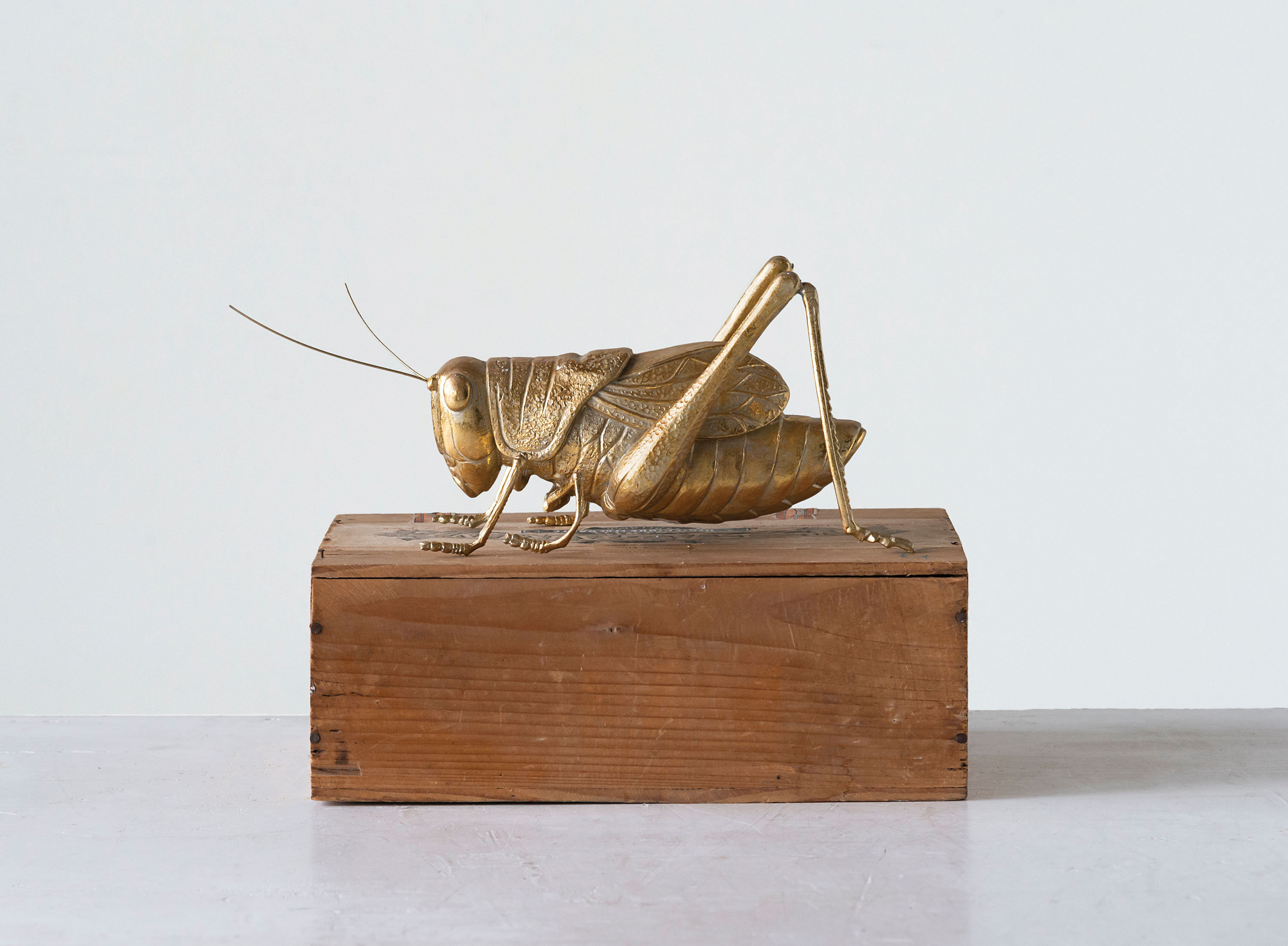 Gracie Oaks Waiel Resin Cricket Figurine & Reviews | Wayfair