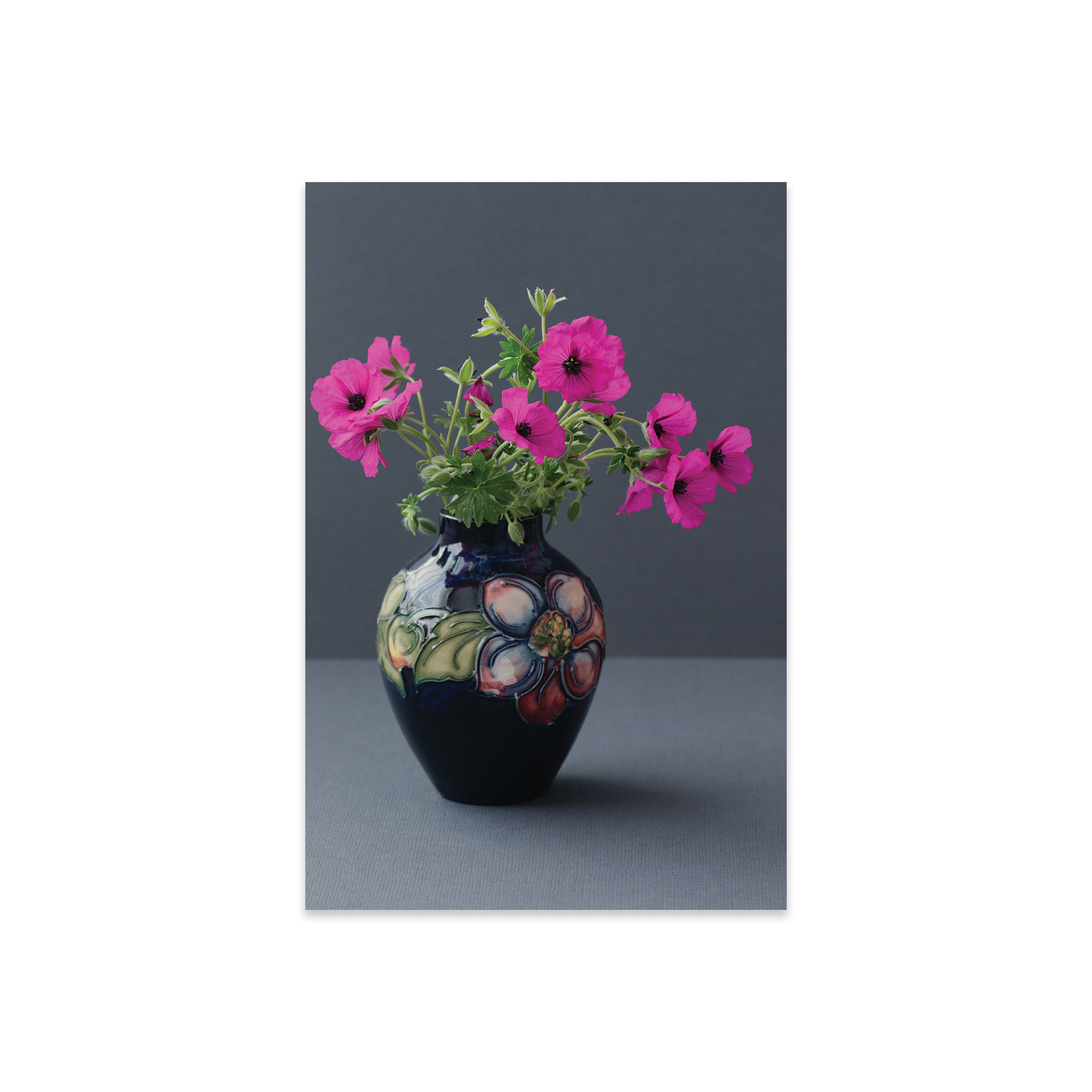 Ebern Designs Wild Geranium Still Life On Plastic/Acrylic by Alyson ...