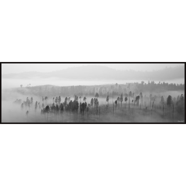 Union Rustic Lost In The Woods - Floater Frame Panoramic Print on ...