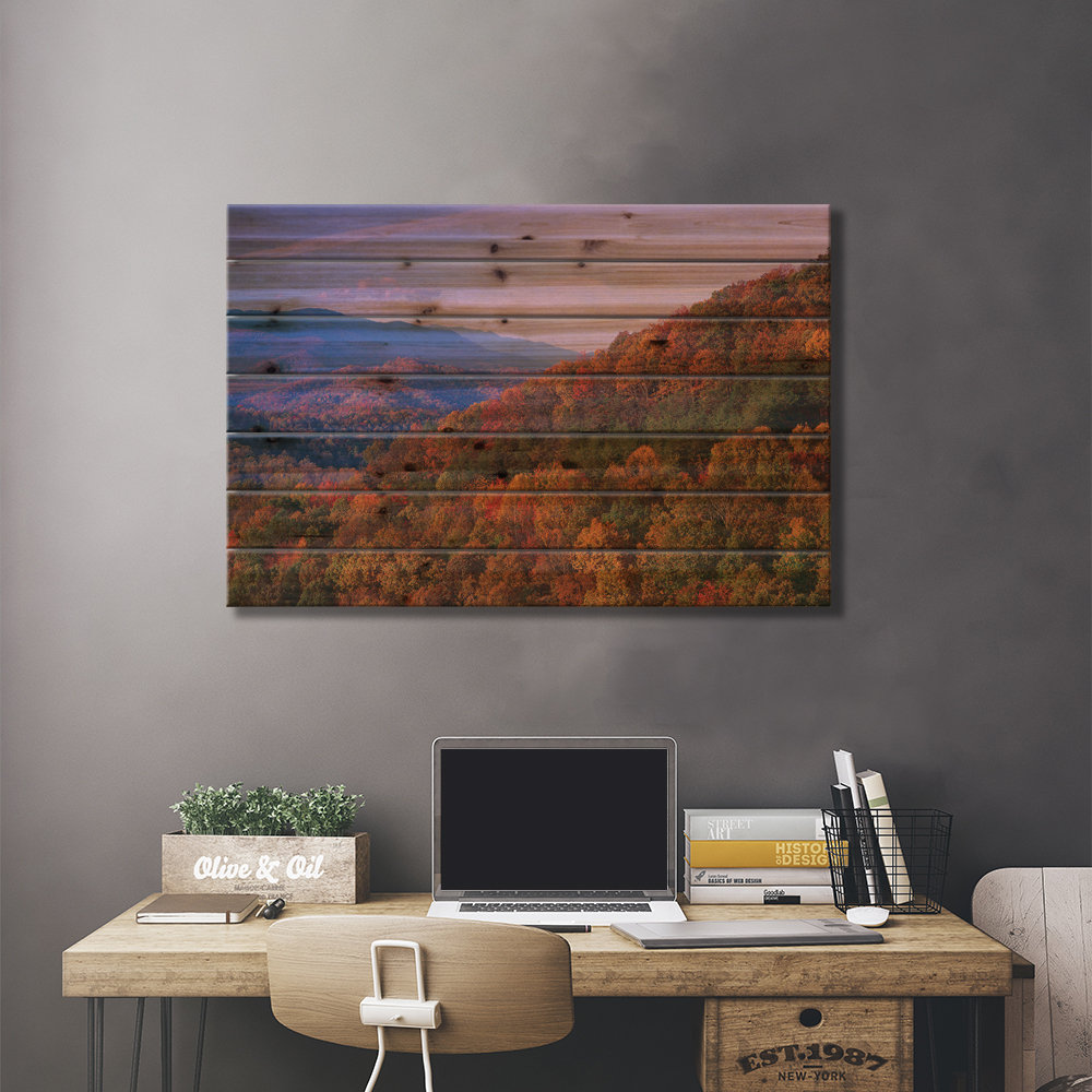 Millwood Pines Fall Colored Forest, Appalachian Mountains, Great Smoky ...