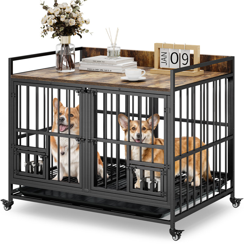Archie & Oscar™ Double Heavyd-Duty Dog Crate With Feeding Bowl, Mat ...