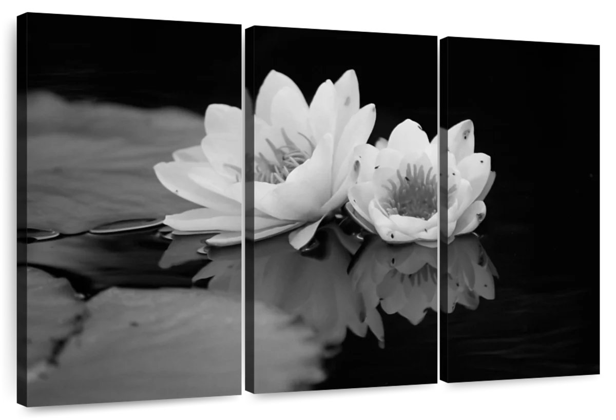 Lark Manor™ Harnek Monochrome Water Lilies - Wayfair Canada