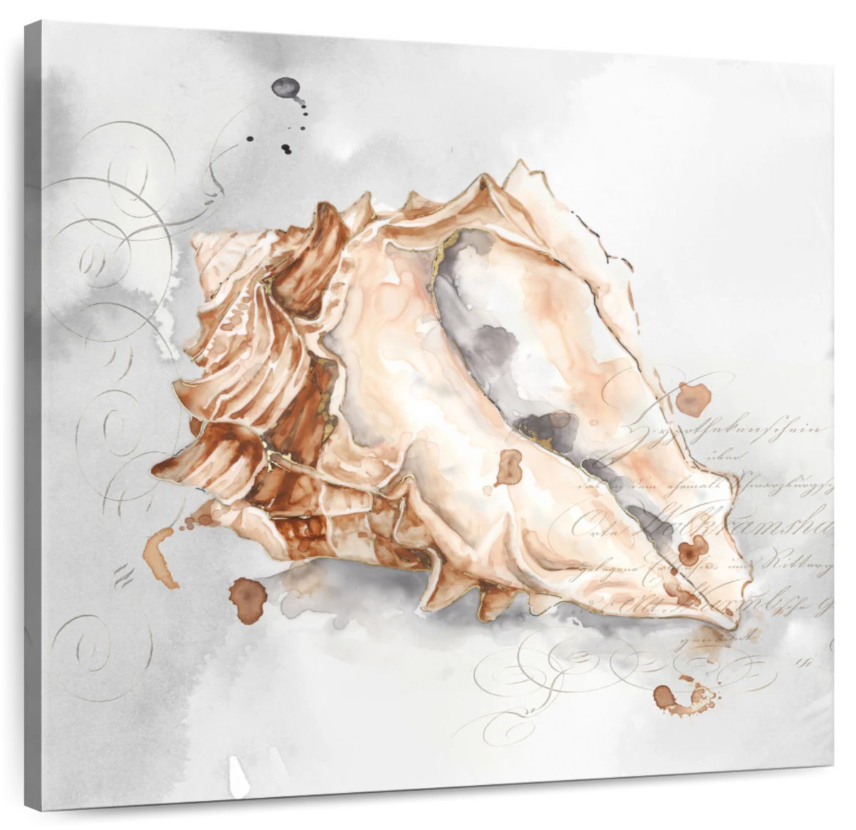 Breakwater Bay Aletra Blush Shell III | Wayfair