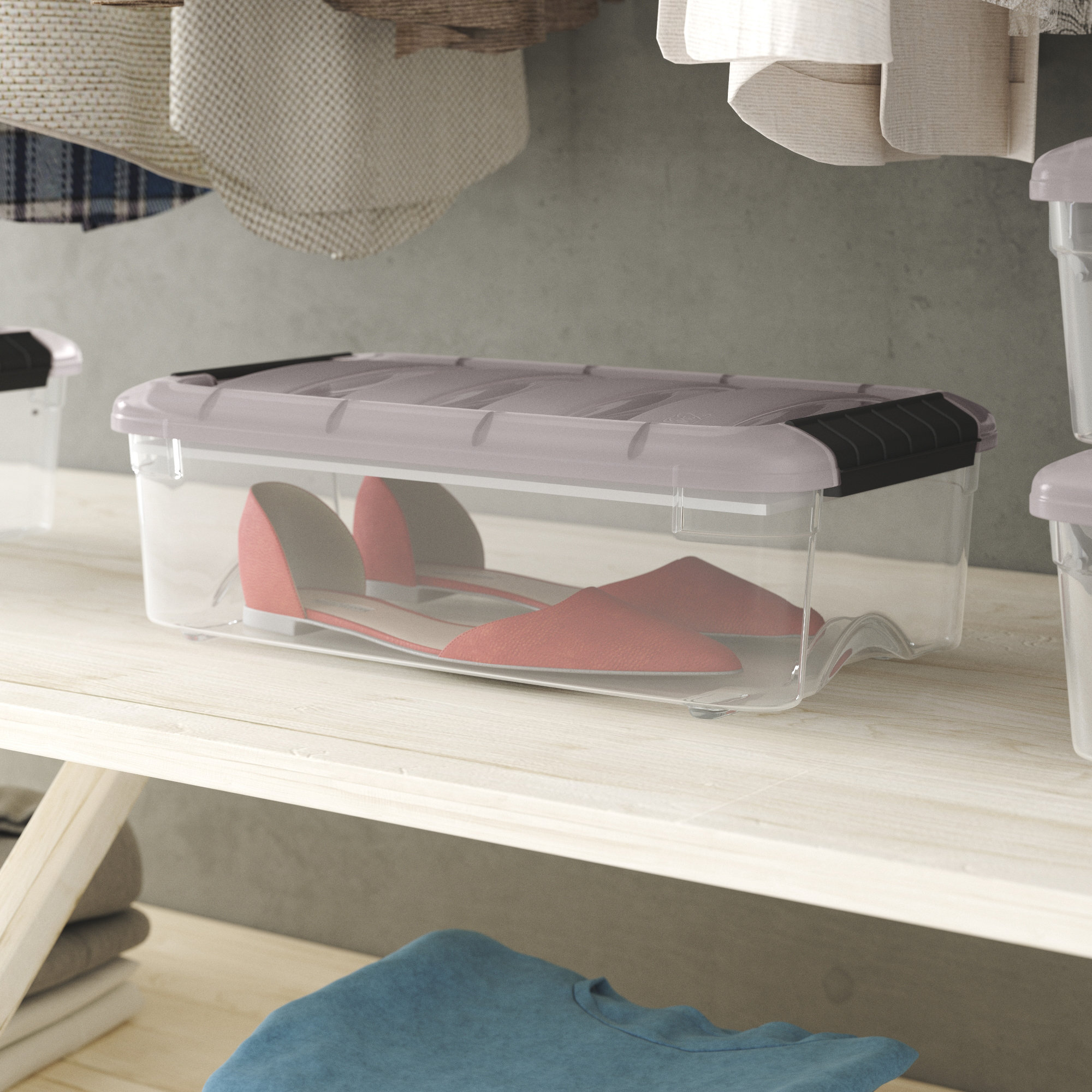 IRIS USA, Inc. 5 Qt./1.25 Gal. Plastic Storage Boxes with Latching Lids ...