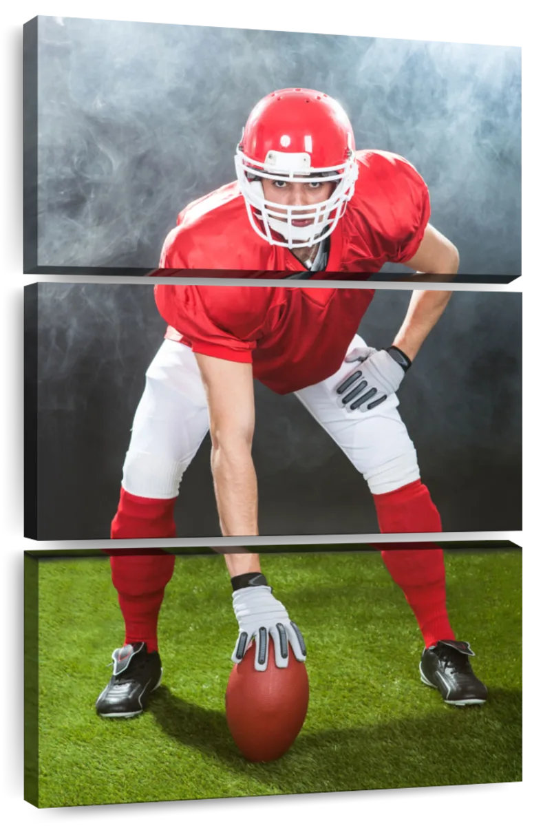Elephant Stock American Football Snapper | Wayfair