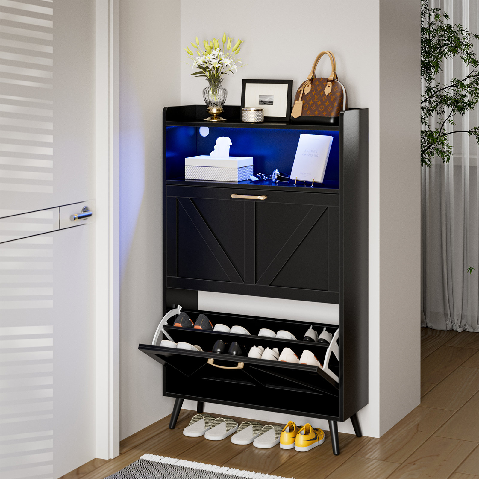 Brayden Studio® LED Shoe Storage Cabinet With 2 Flip Drawers | Wayfair