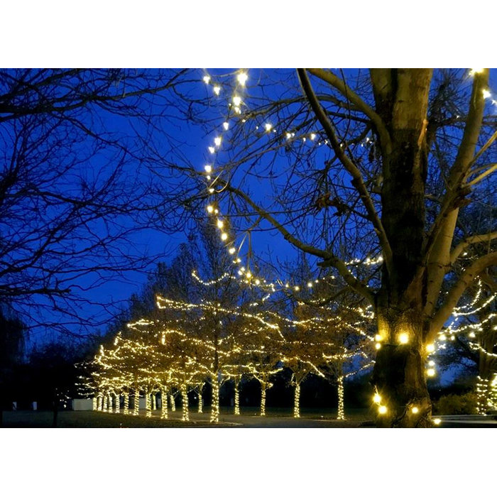 The Party Aisle™ Outdoor 50 - Bulb 288'' Plug-in LED Wide Angle LED ...