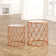 Canora Grey Lizeth 2 Piece Nest of Tables & Reviews | Wayfair.co.uk