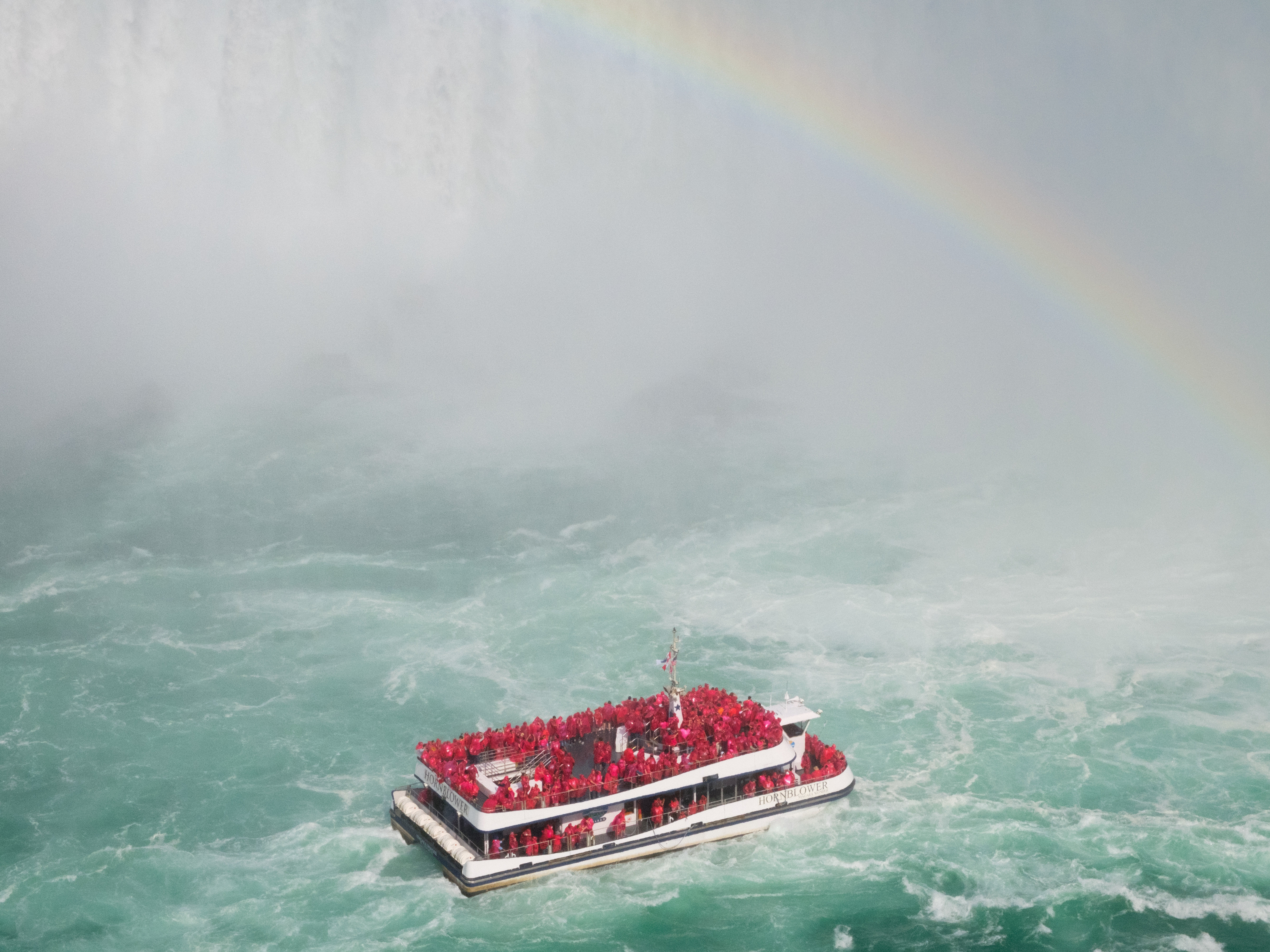 Made & Curated Under The Rainbow By Vincent Dupont Blackshaw - Wayfair ...