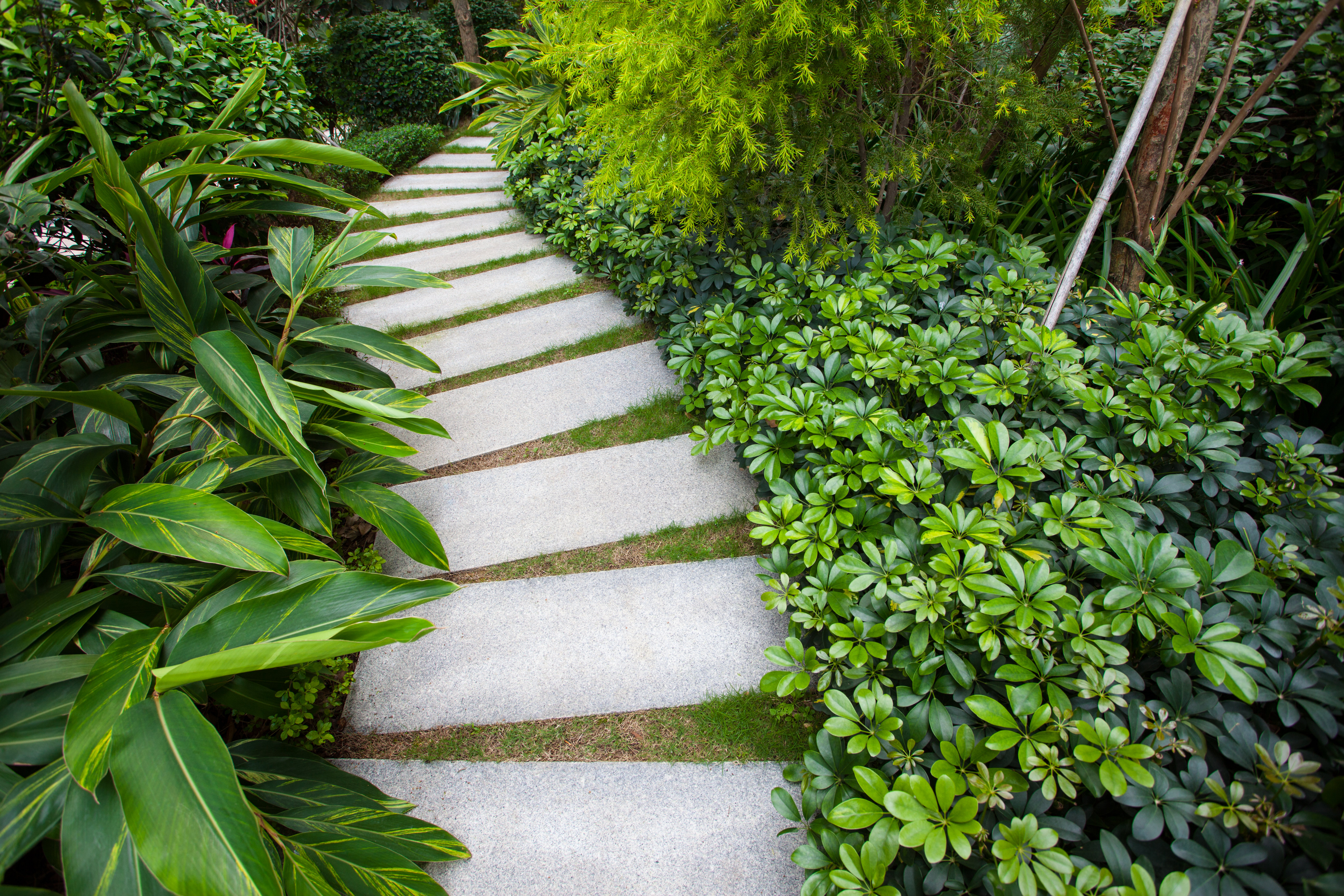 17 Stories Stone Walkway by Kanmu - Photographic Print | Wayfair.co.uk