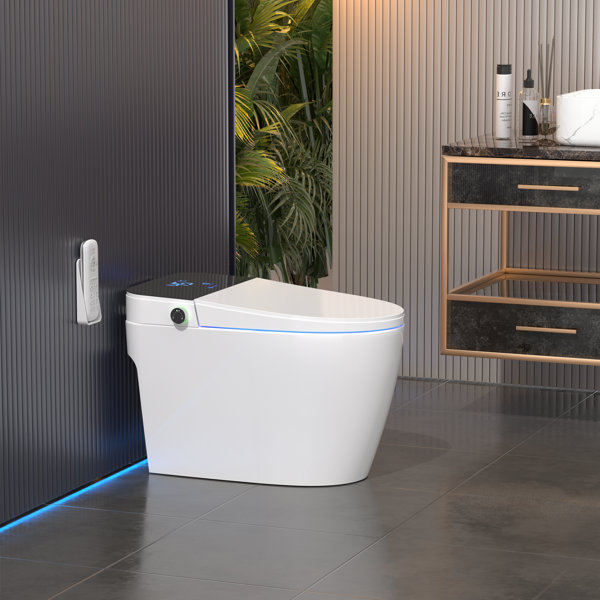 BCAN Smart Toilet with Tankless Bidet Wash, Auto Open Lid, 1.28 Gallons ...