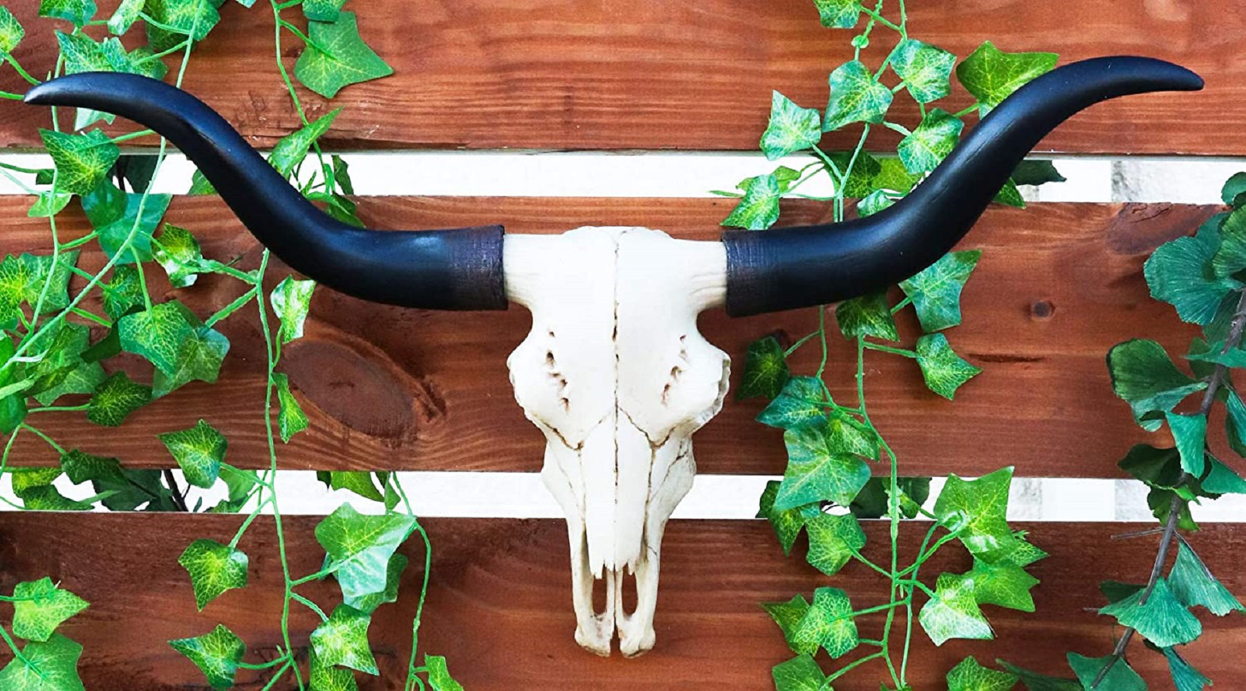 Union Rustic Texas Longhorn Steer Cattle Cow Skull Wall Mounted Hanging ...