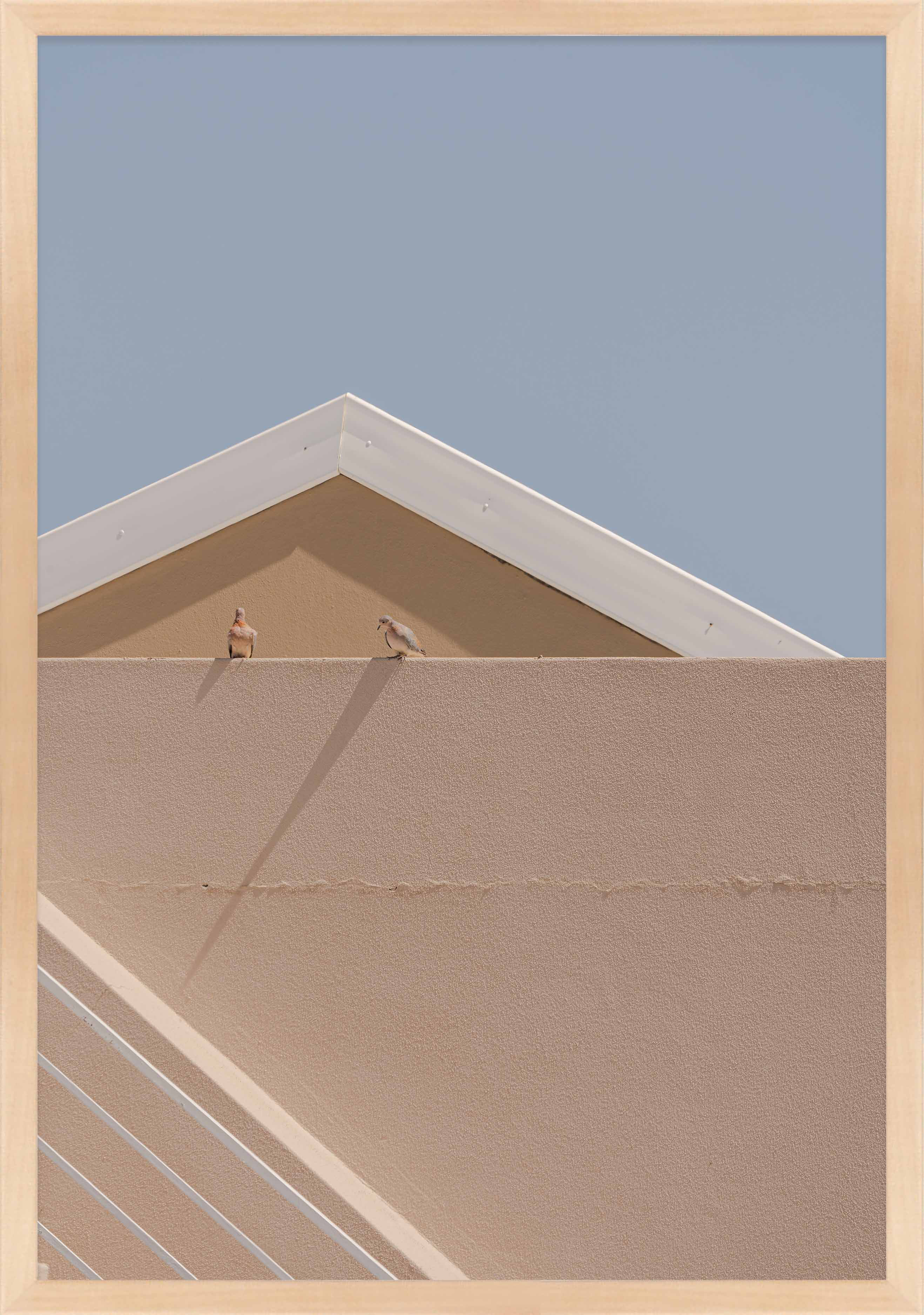 Lipman Art Roosting by Svetlana Smirnova - Framed Wall Art | AllModern