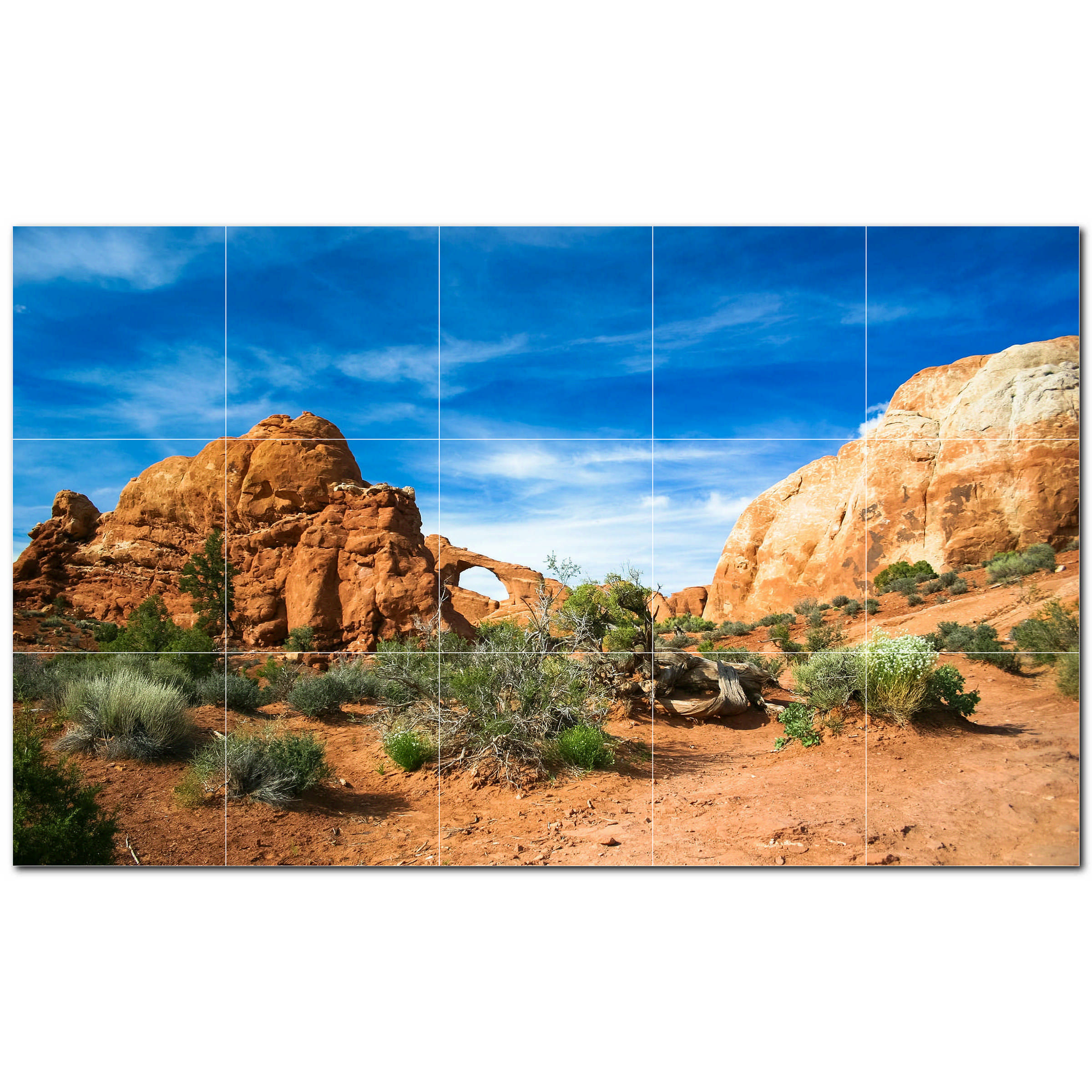 Picture-Tiles.com Canyon Photo 12 x 12 | Wayfair