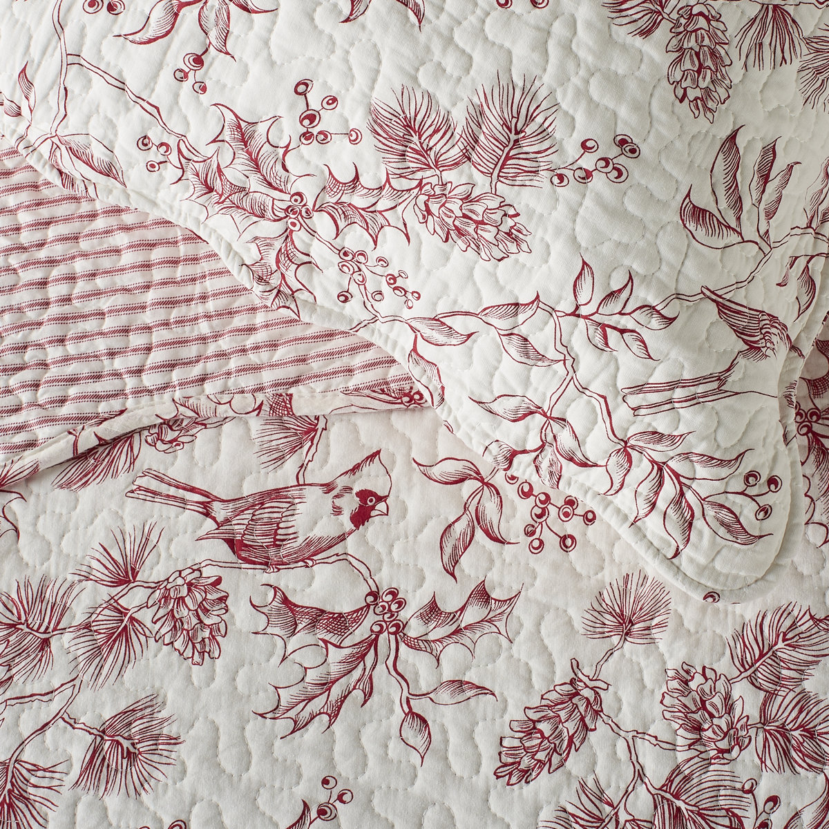 Birch Lane™ Iria Red/White Standard Cotton Reversible Quilt Set ...