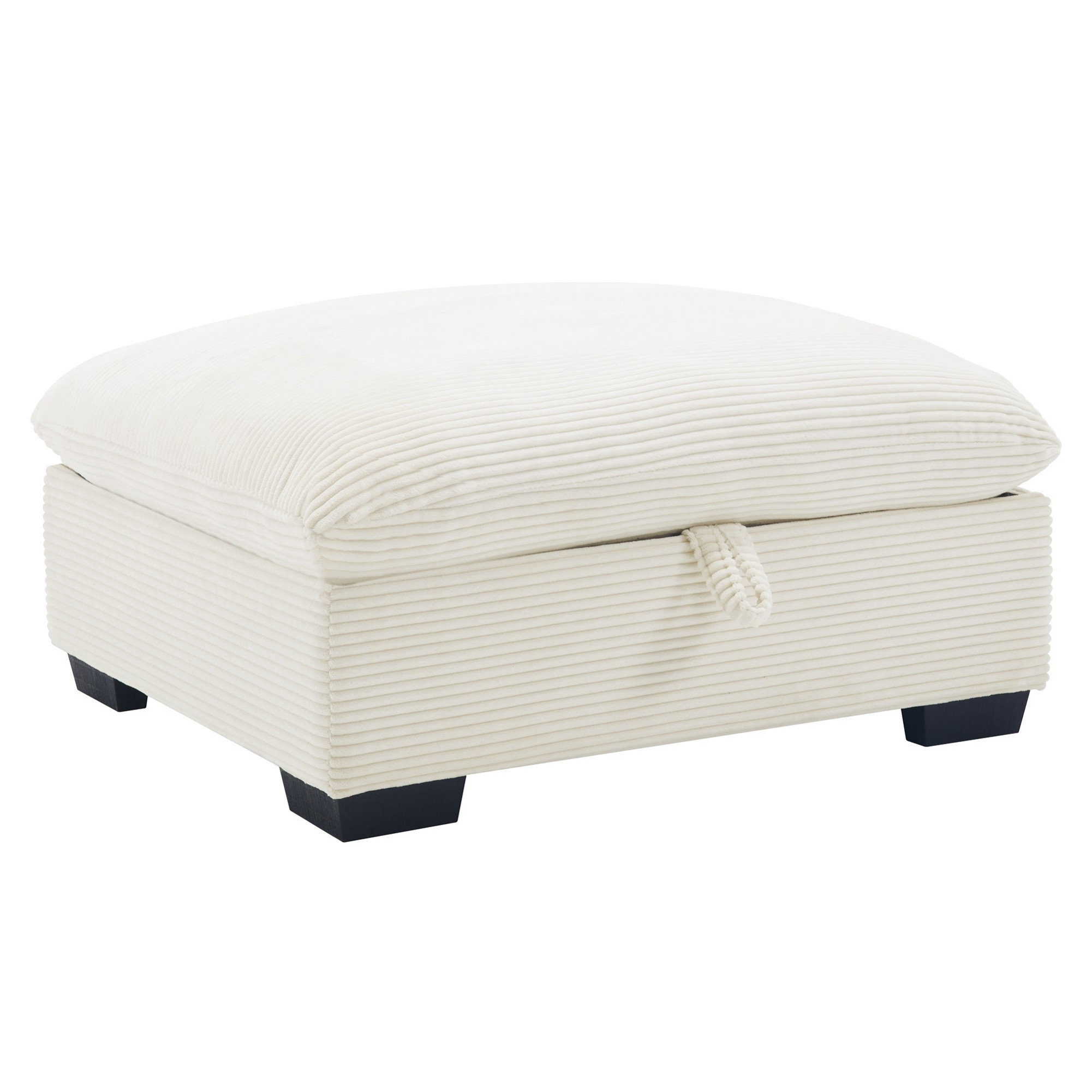 Everly Quinn Living Room Ottoman, Footrest, Storage Ottoman - Wayfair ...