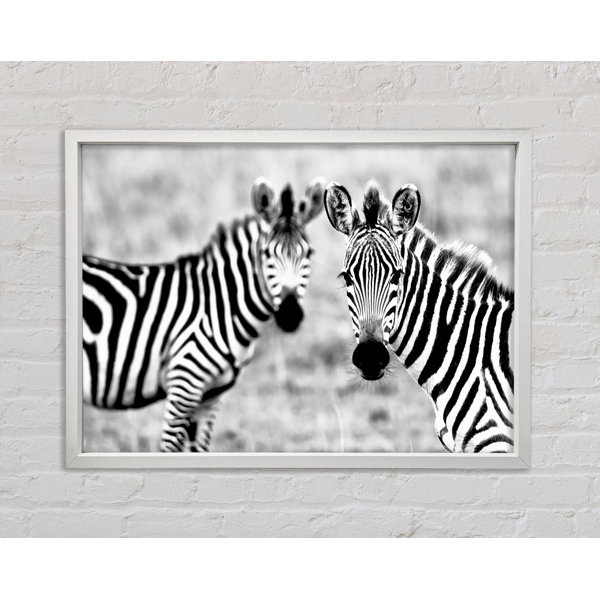 Ebern Designs Zebra Twins - Single Picture Frame Art Prints on Canvas ...