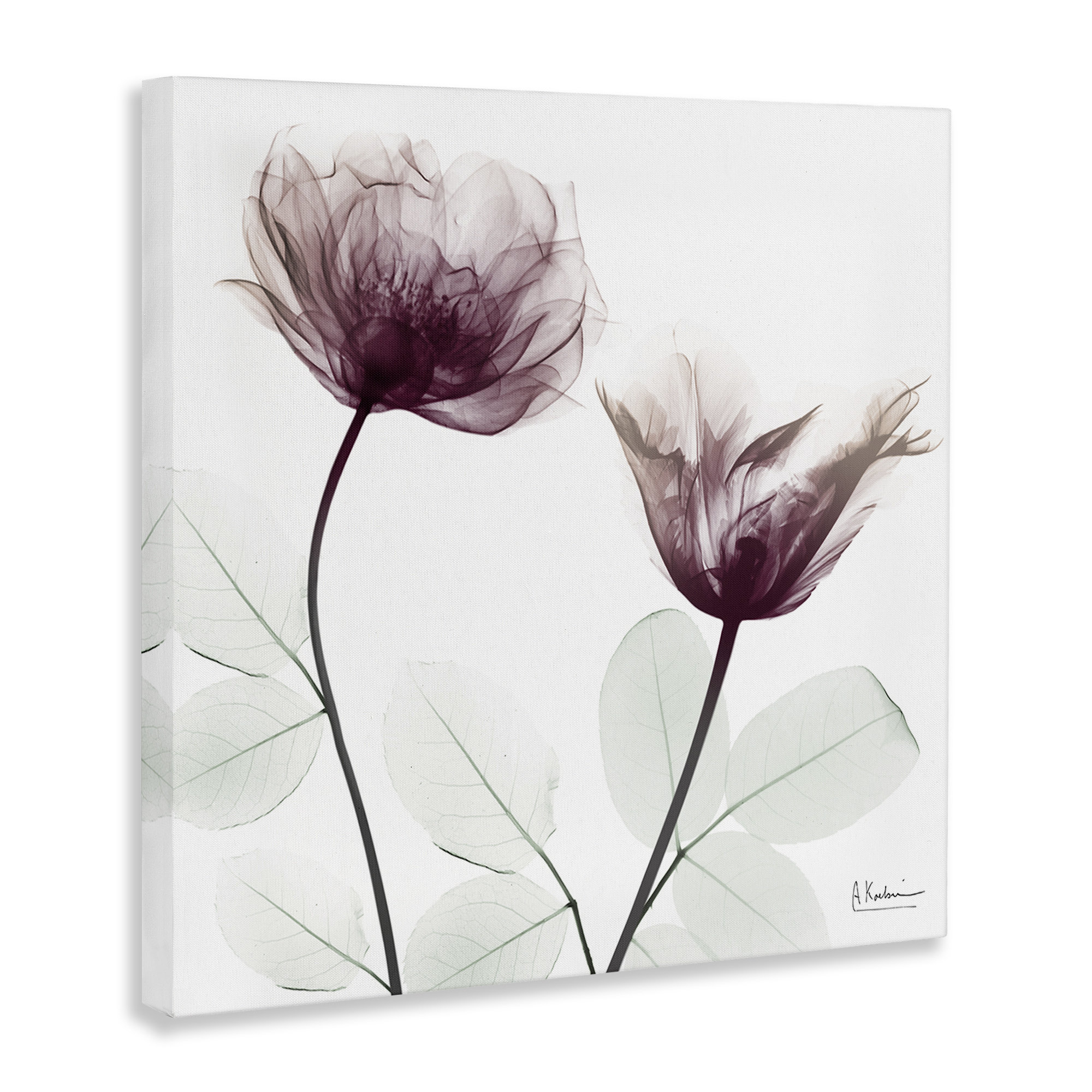 Ebern Designs Minimalist Translucent Flowers Canvas, design by Albert ...