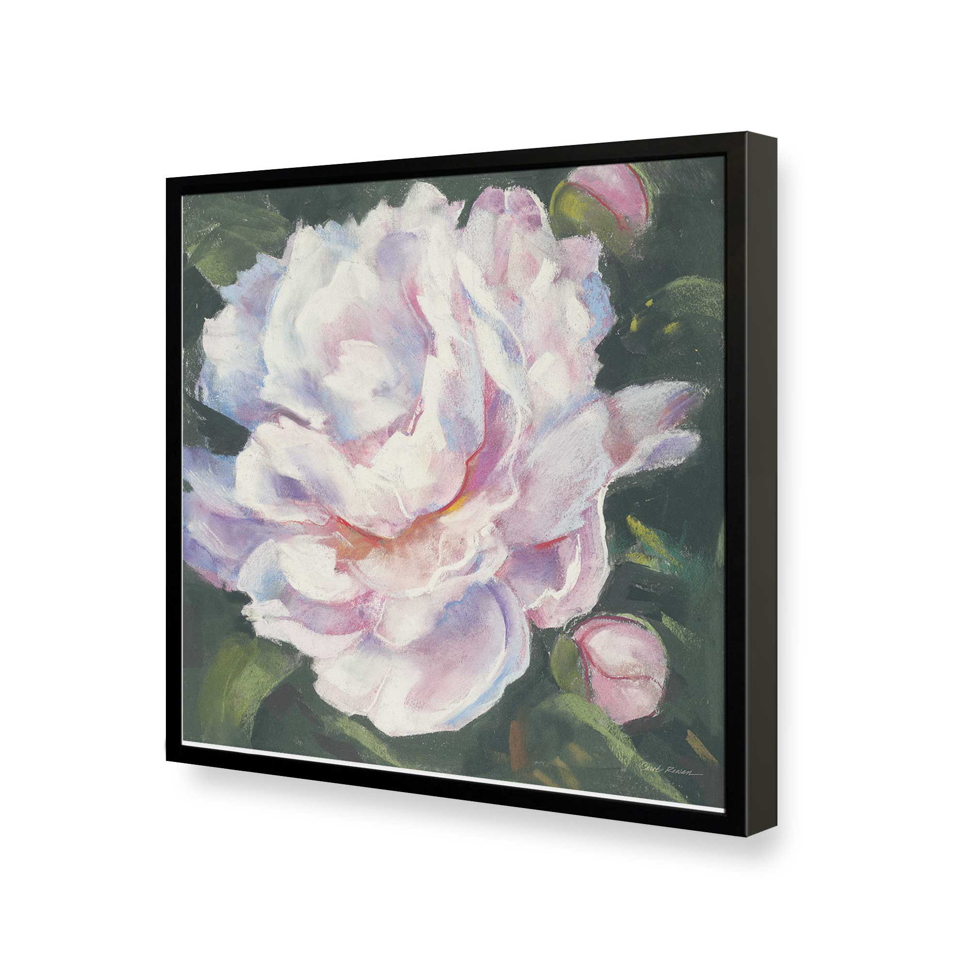Winston Porter Peony III By Carol Rowan Art Print | Wayfair