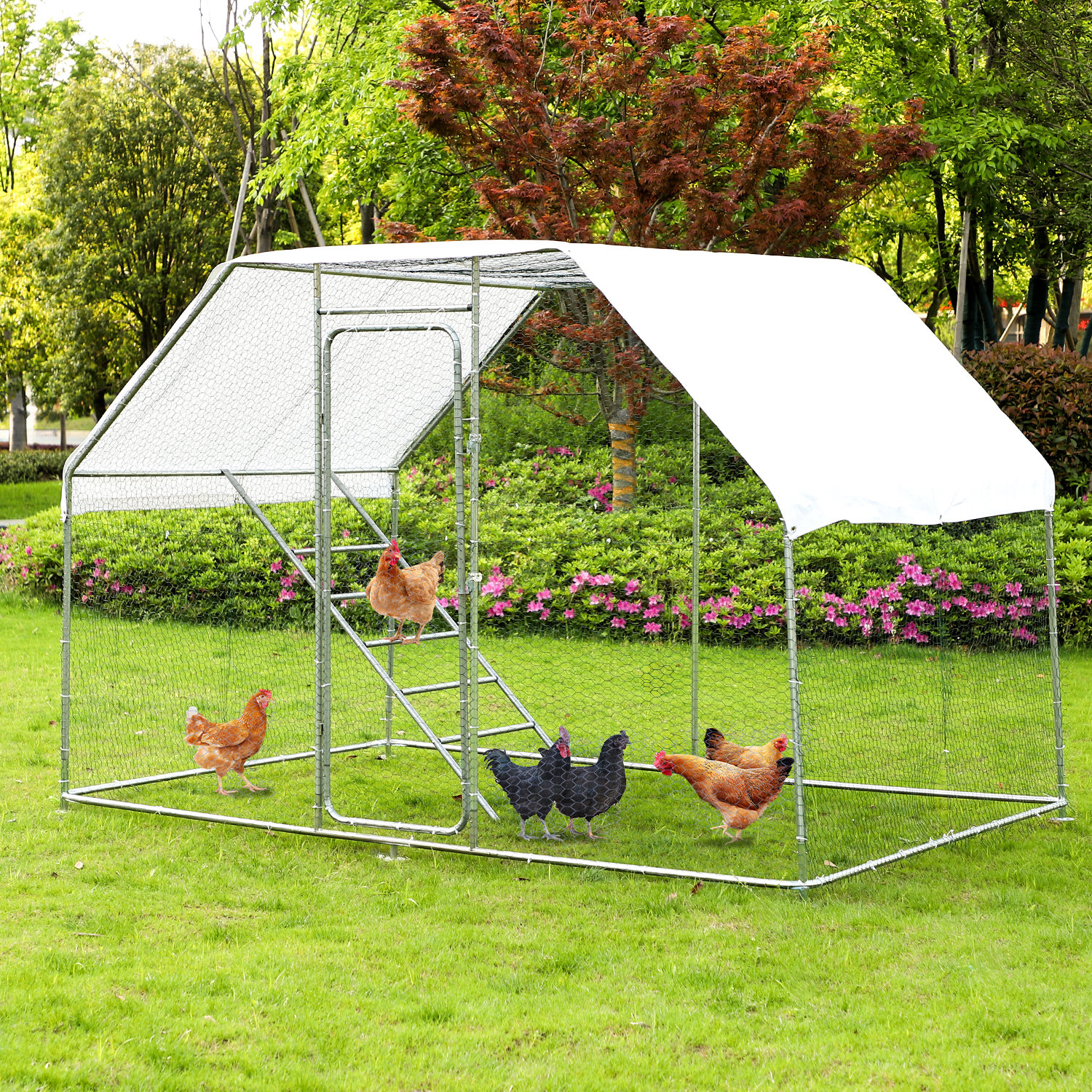 Tucker Murphy Pet™ 65 Square Feet Metal Chicken Coop Chicken Run With ...