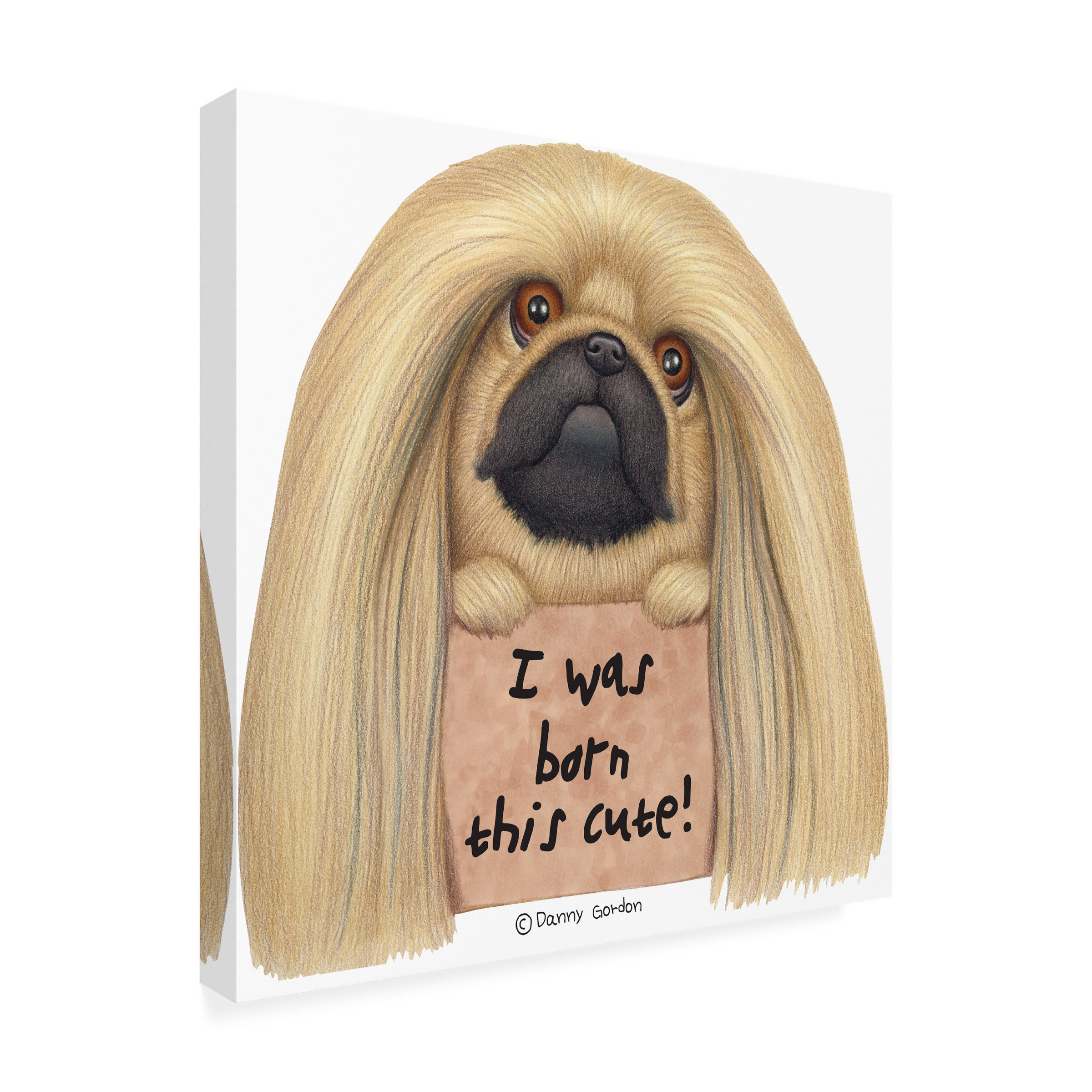 Trinx Danny Gordon Art 'Pekingese With Sign Born Cute' Canvas Art ...