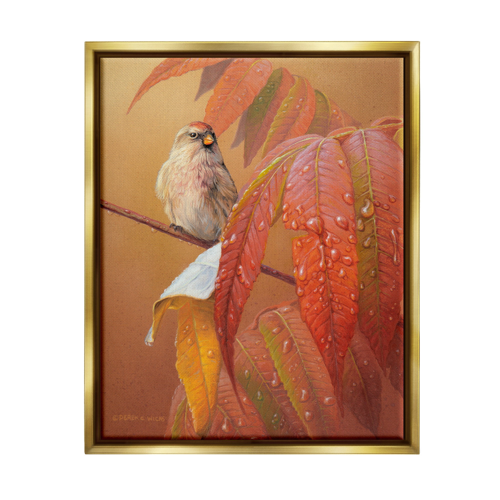 Stupell Industries Ba-346-Floater Bird On Autumnal Branch Framed On ...