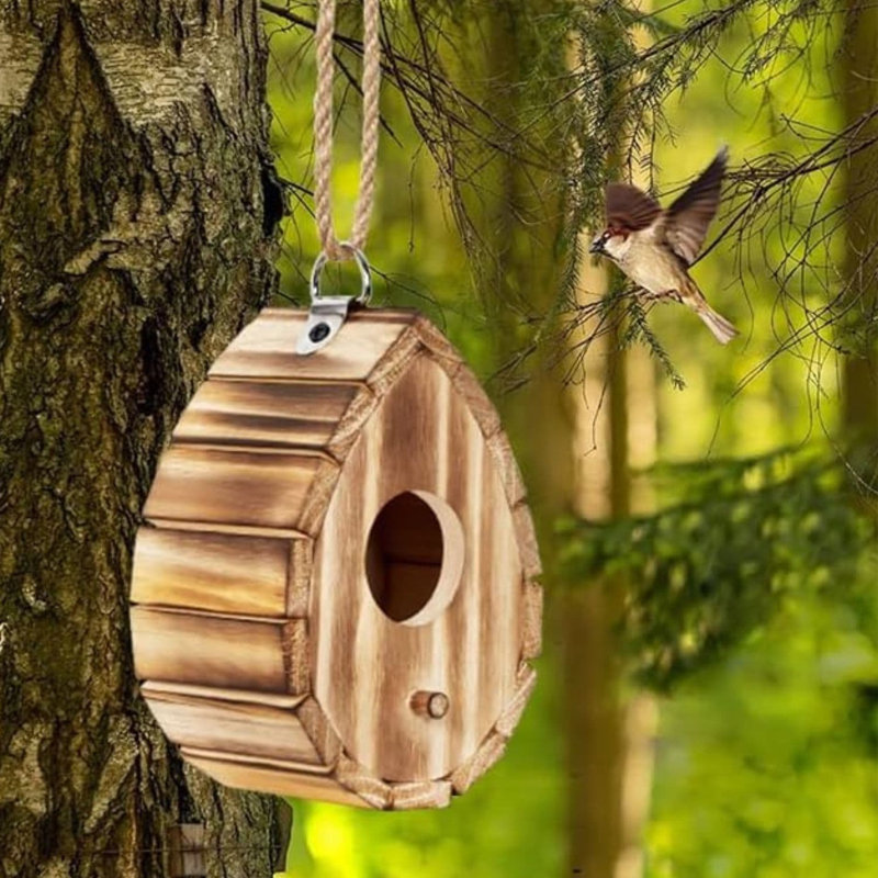 Millwood Pines Hummingbird Wooden Birdhouse. | Wayfair