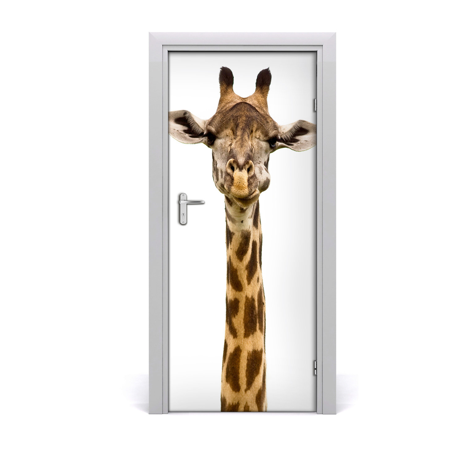 Bloomsbury Market Giraffe Door Sticker | Wayfair.ie