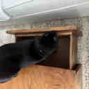 Four Hands Duncan Storage Coffee Table - Reclaimed Frame & Reviews ...