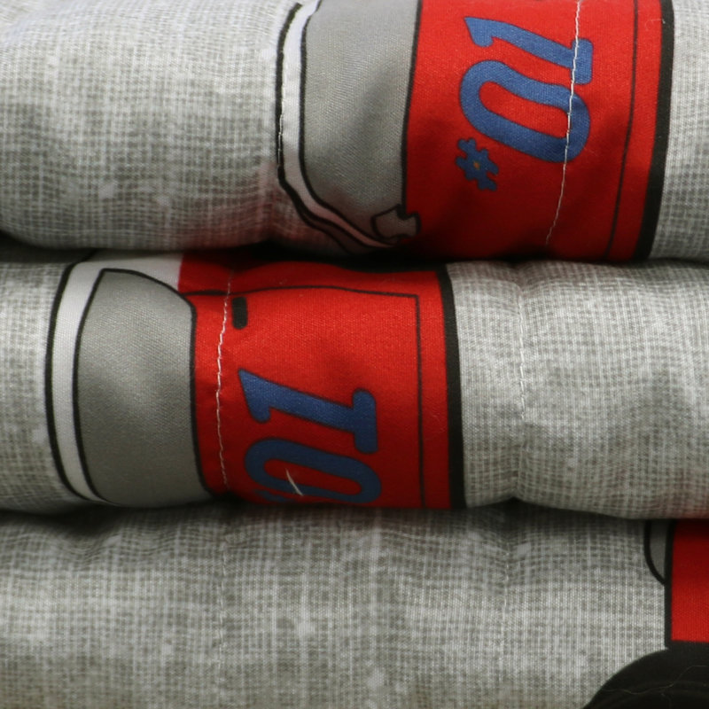 Lush Decor Race Cars Throw & Reviews | Wayfair