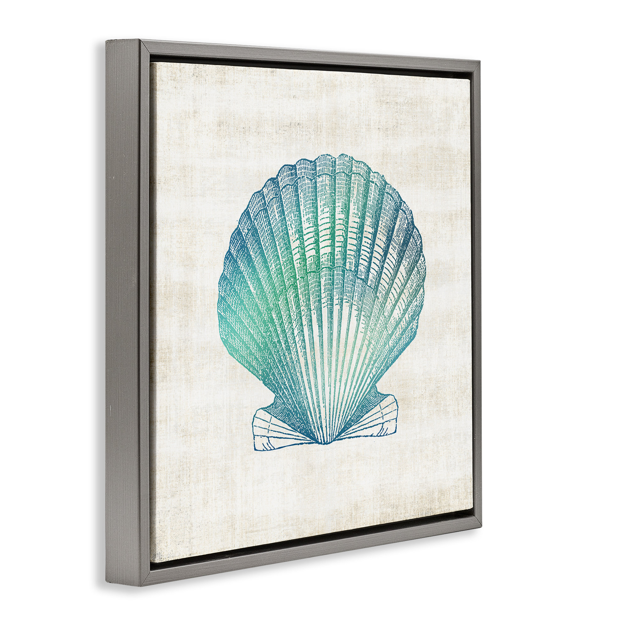 Latitude Run® Gradient Clam Seashell Floating Frame, design by Susan ...