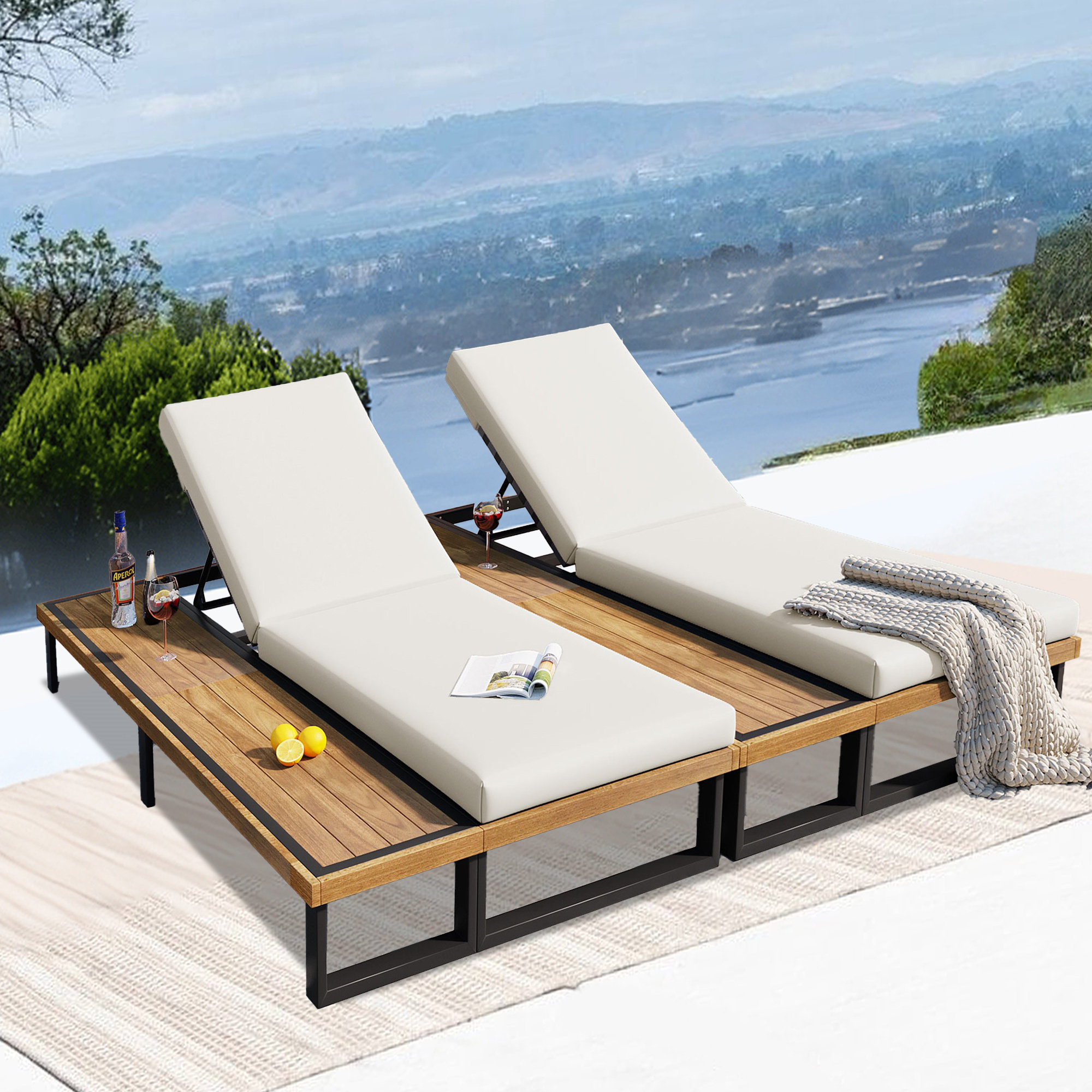 Latitude Run® 2 Pieces Outdoor Chaise Lounge Set With Adjustable ...