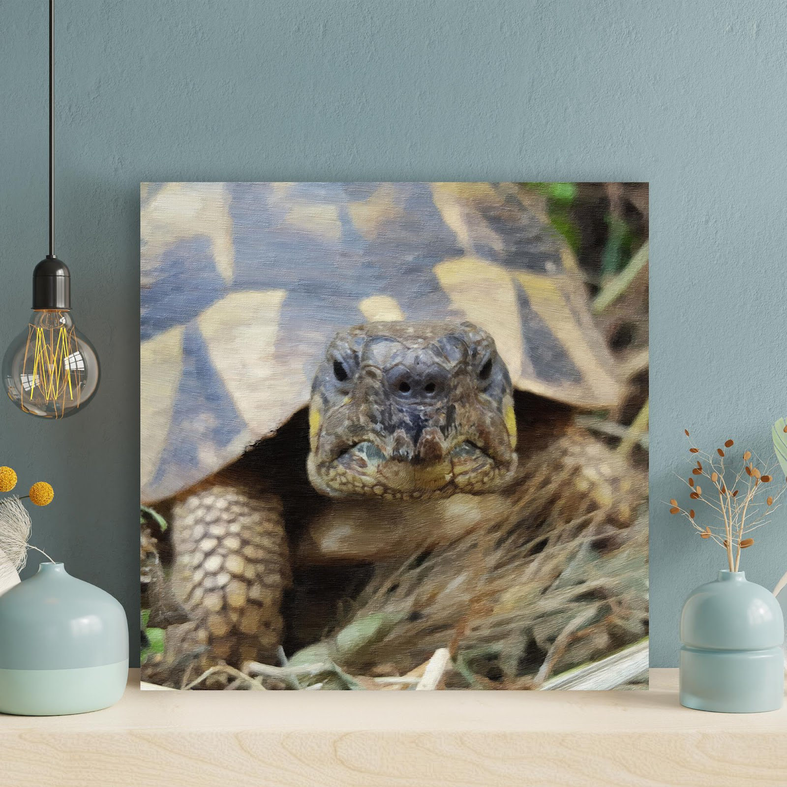 Bayou Breeze A Tortoise With Black Yellow Triangle Pattern On Shell - 1 ...