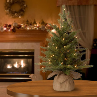 2 Foot Christmas Trees You'll Love | Wayfair