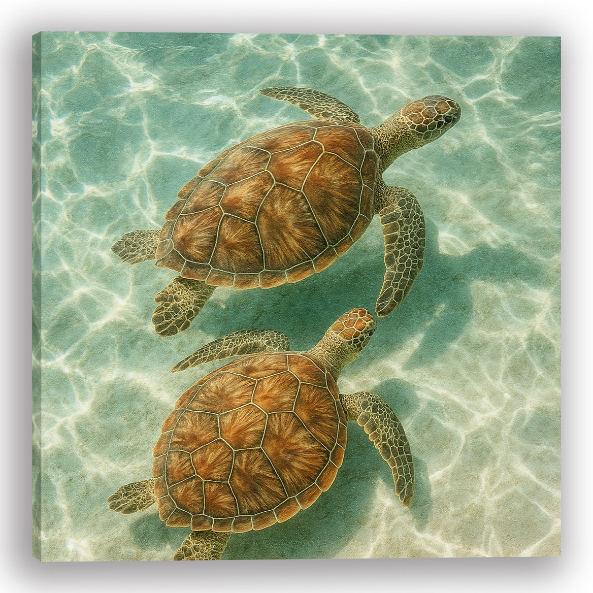 Dovecove Ocean Companions – Twin Sea Turtles Canvas Art | Wayfair