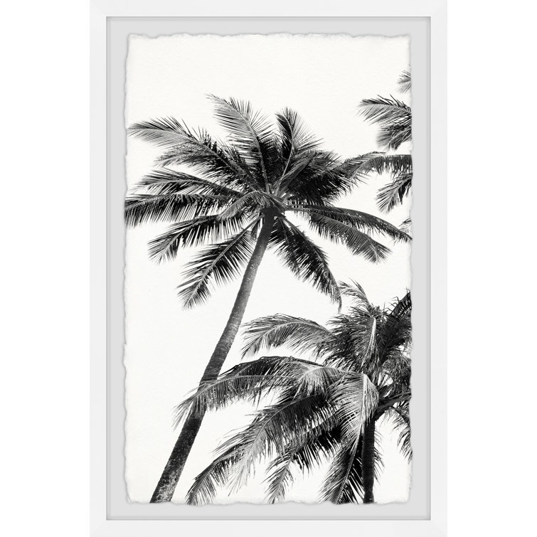 Bay Isle Home Coco Palm Trees - Single Picture Frame Photograph ...