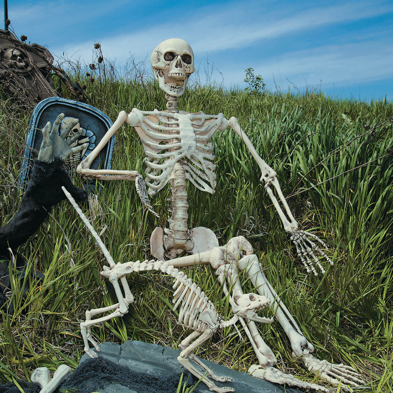 The Holiday Aisle® Life Size Posable Skeleton Halloween Decoration ...