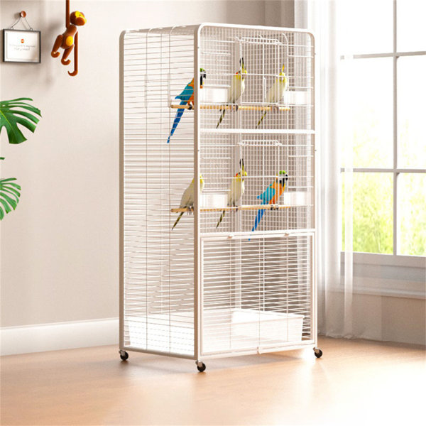 Bird Cages You'll Love - Wayfair Canada