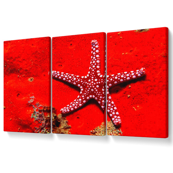 Highland Dunes Red Starfish Canvas 3 Panel Set | Wayfair.co.uk